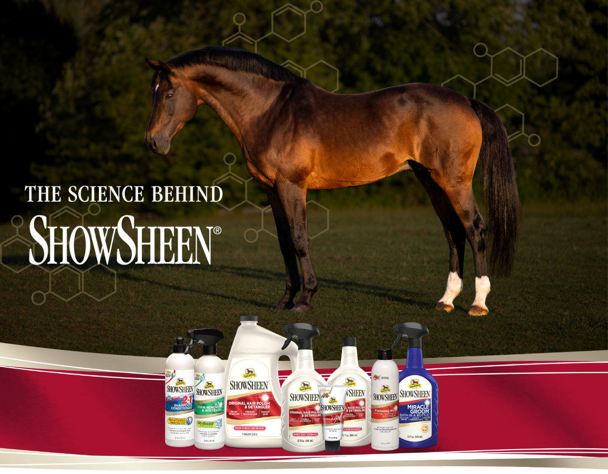 ShowSheen: Beautiful Results Backed by Science – Absorbine