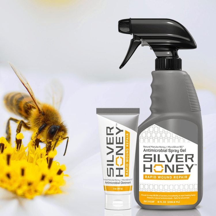 Silver Honey® and a Tricky Stifle Wound – Absorbine