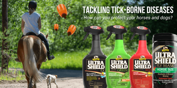 How To Identify Ticks & Prevent Diseases – Absorbine