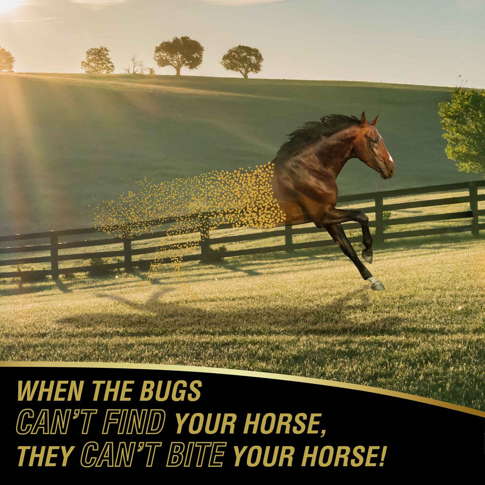 UltraShield® Gold Insecticide & Repellent – Absorbine