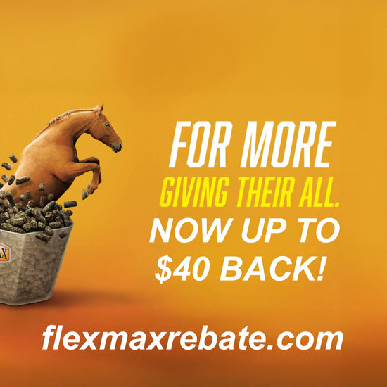 Flex+Max® Joint Health Supplement – Absorbine