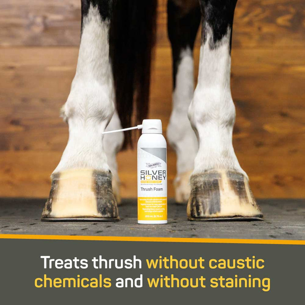 Silver Honey® Rapid Hoof Care Thrush Foam – Absorbine