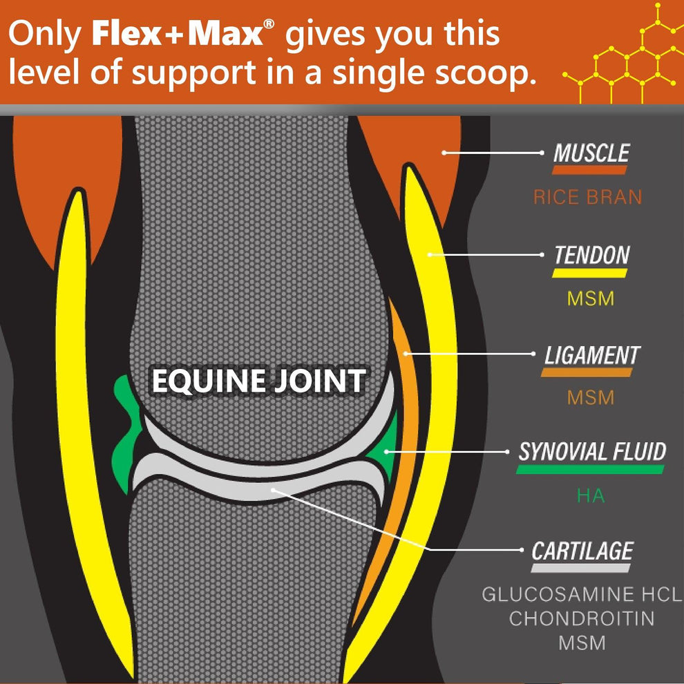Flex+Max® Joint Health Supplement Pellets – Absorbine